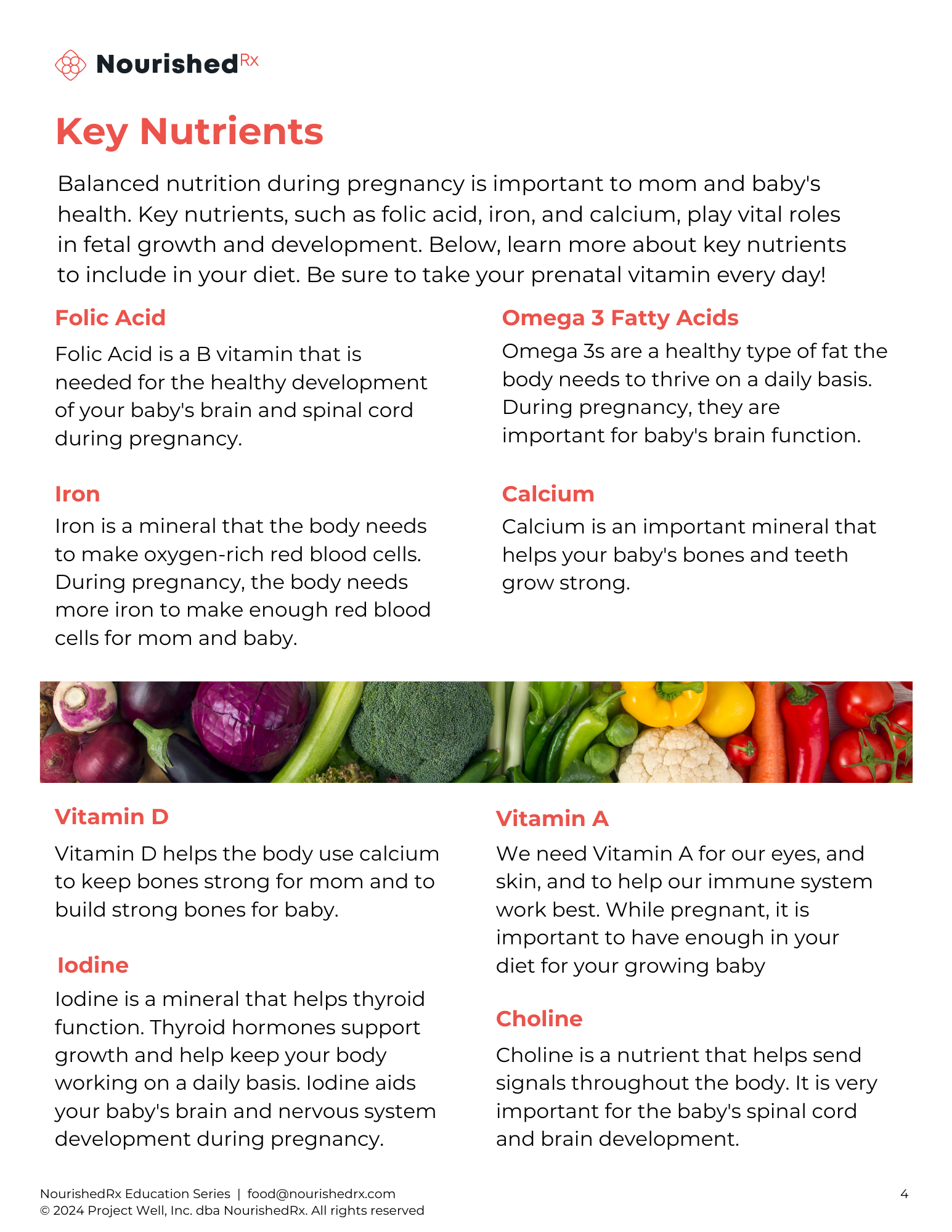 Pregnancy Nutrition Guide - Part 1 (Healthy Pregnancy) – NourishedRx